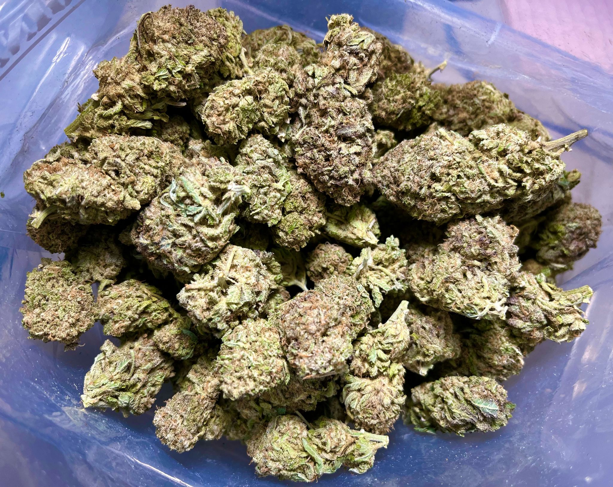 Buy Budget $62 Oz - Bazookies Online Canada - Ganja Express